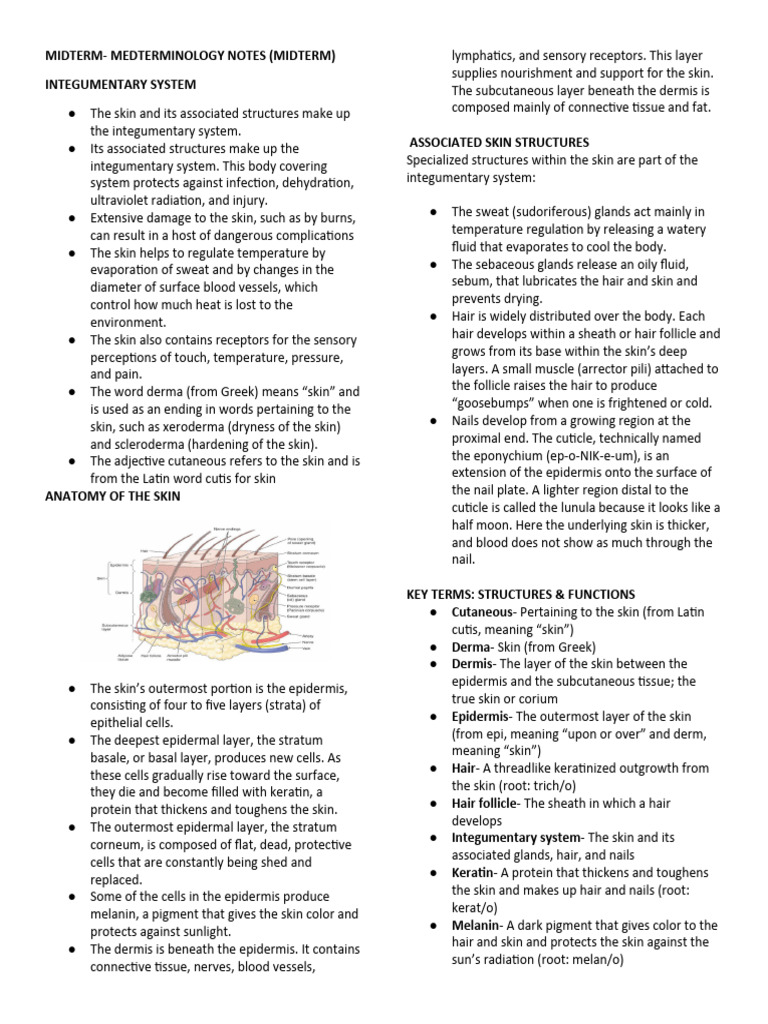 MEDTERM-NOTES-MIDTERM | PDF | Skin | Epidermis