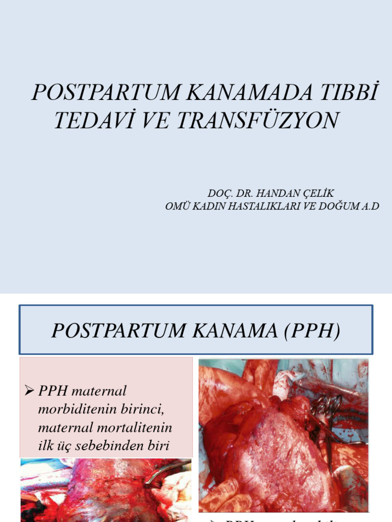 Handan Celik | PDF