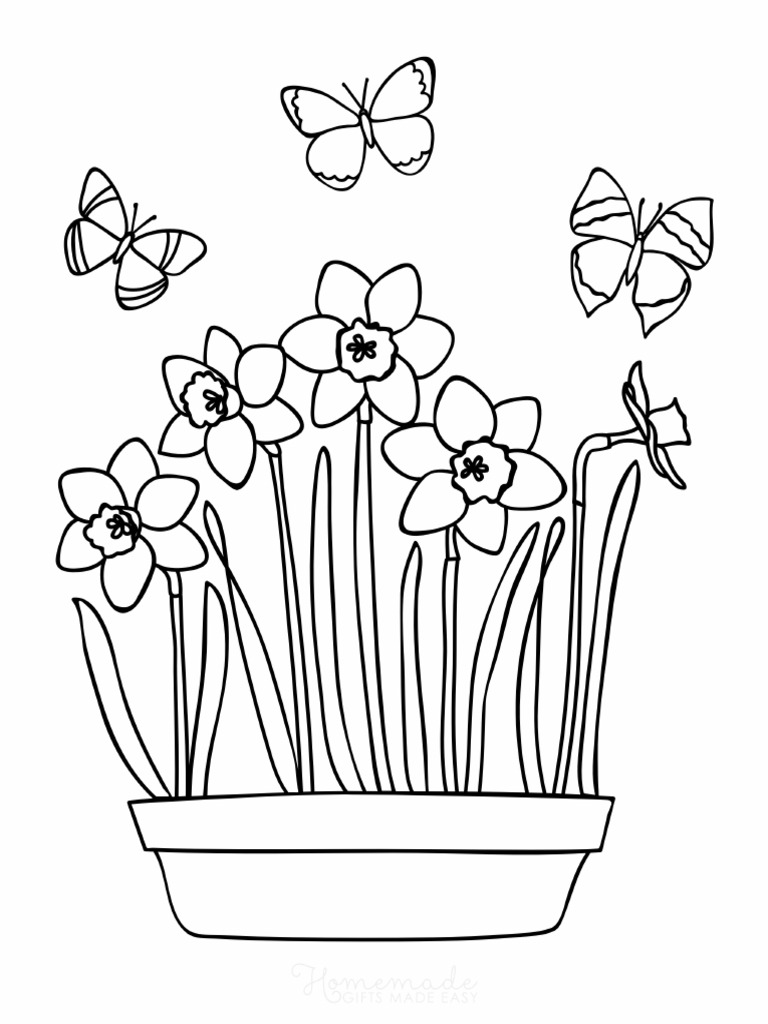 Spring Coloring Pages Daffodils Butterflies | PDF