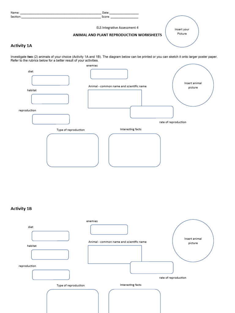 Els Integrative Assessment 4 | PDF | Reproduction | Flowers