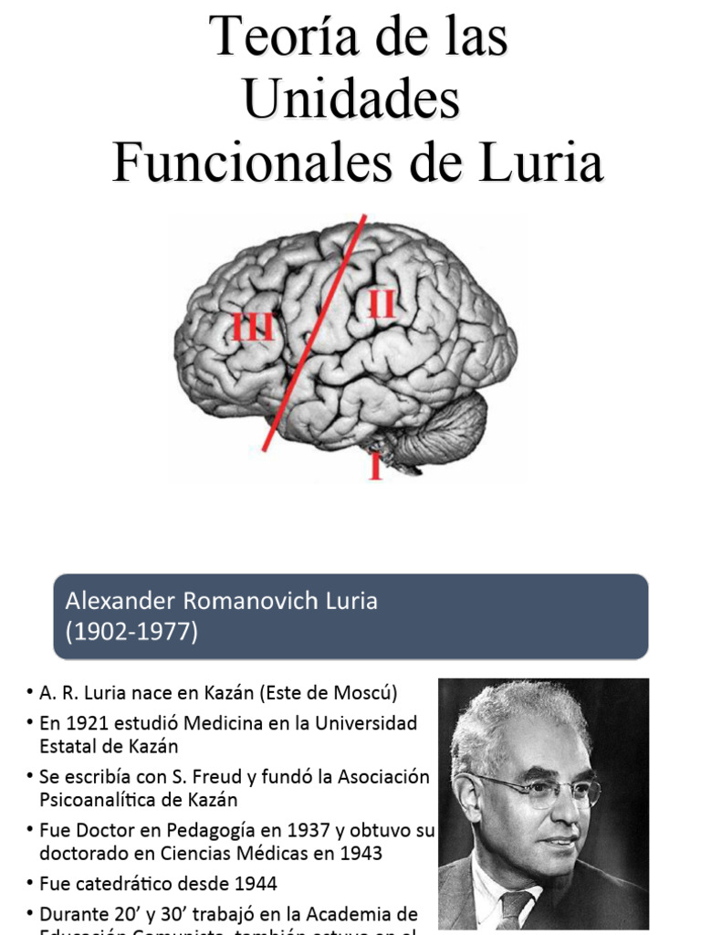 Teoriadelas Unidades Funcionalesde Luria | PDF | Cerebro | Corteza cerebral