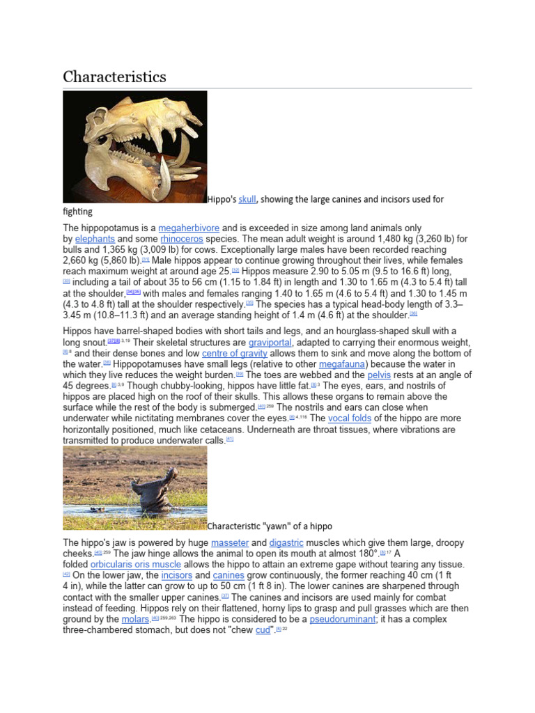 Characteristics: Hippo's, Showing The Large Canines and Incisors Used ...