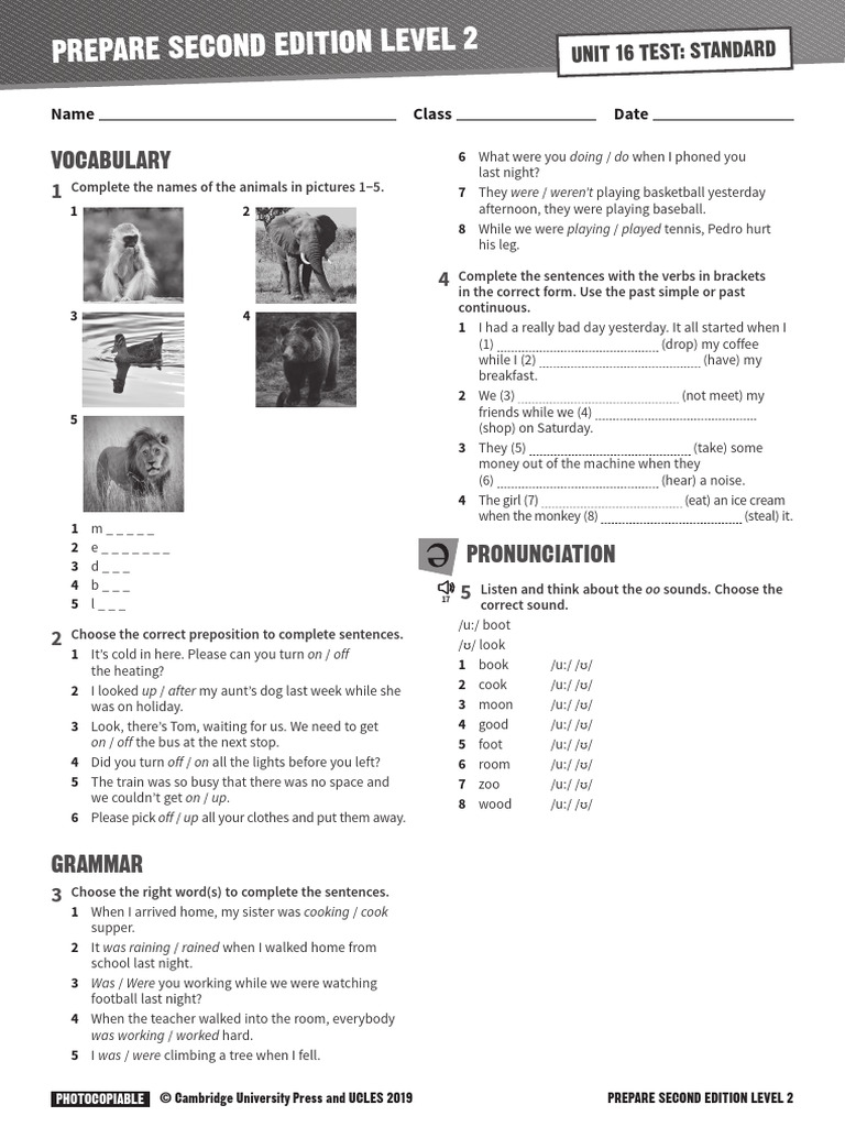 Pre Ut U16s | PDF | Linguistics | Languages