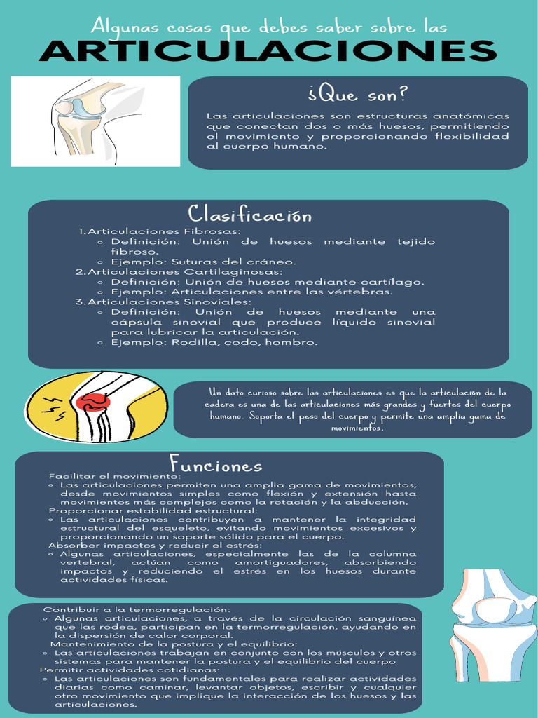 Infografía de las articulaciones de Oscar Torres | PDF | Articulación | Anatomía