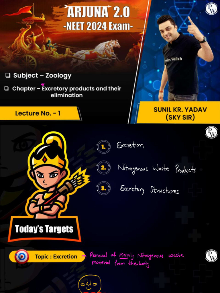 Excretory System Class Notes | PDF