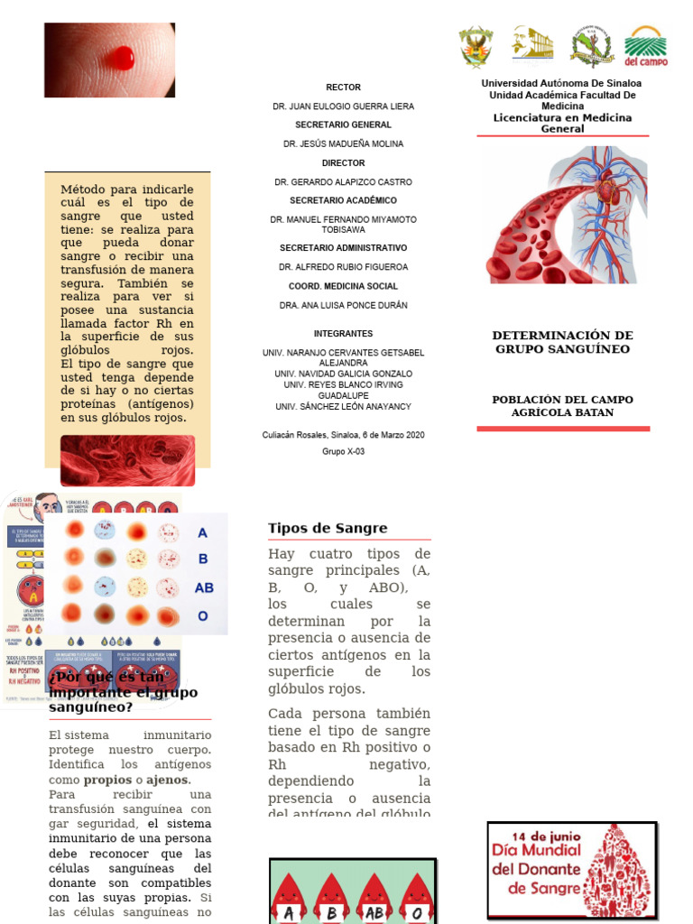 Triptico Grupo Sanguineo | PDF | Tipo de sangre | Sangre