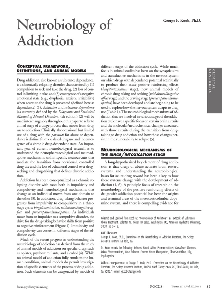 Neurobiology of Addiction Insights | PDF | Reward System | Dopamine