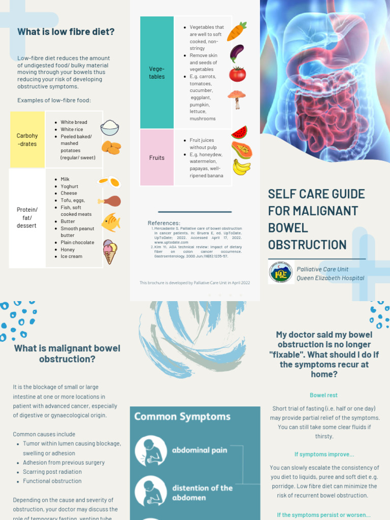 MBO Self Care Guide | PDF | Dietary Fiber | Diet & Nutrition