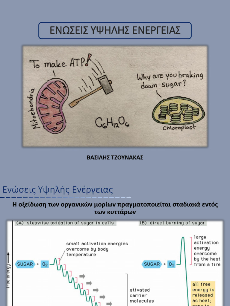 ΕΝΩΣΕΙΣ ΥΨΗΛΗΣ ΕΝΕΡΓΕΙΑΣ | PDF