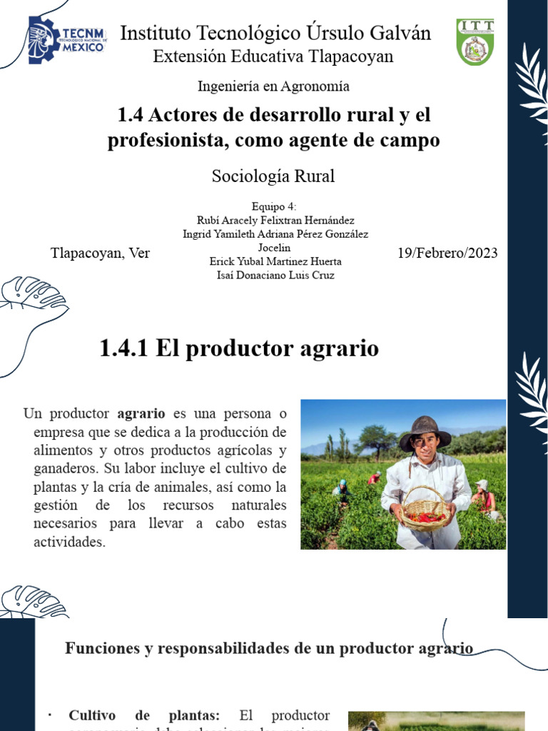 1 4 Actores Del Desarrolo Rural Y El Profesionalismo Como Agente De