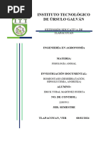 Dorcol Forte Inserto | PDF | Tableta (Farmacia) | Drogas