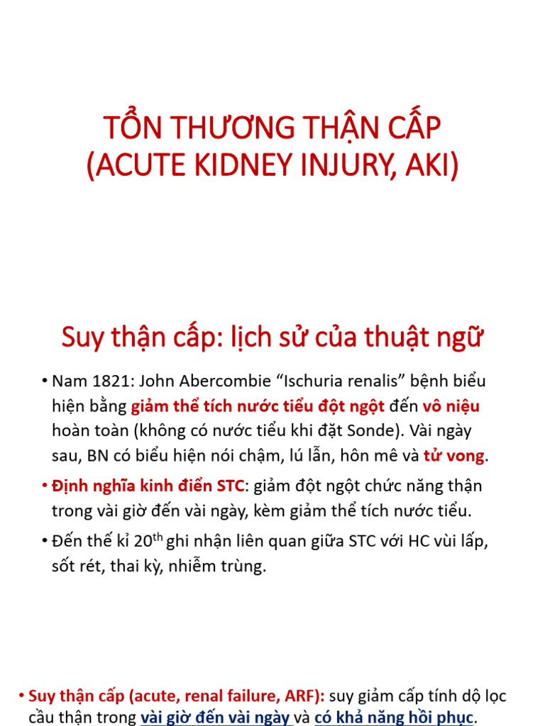Khám Thận - Đọc Kết Quả Ure Creatinine Trong Aki | PDF