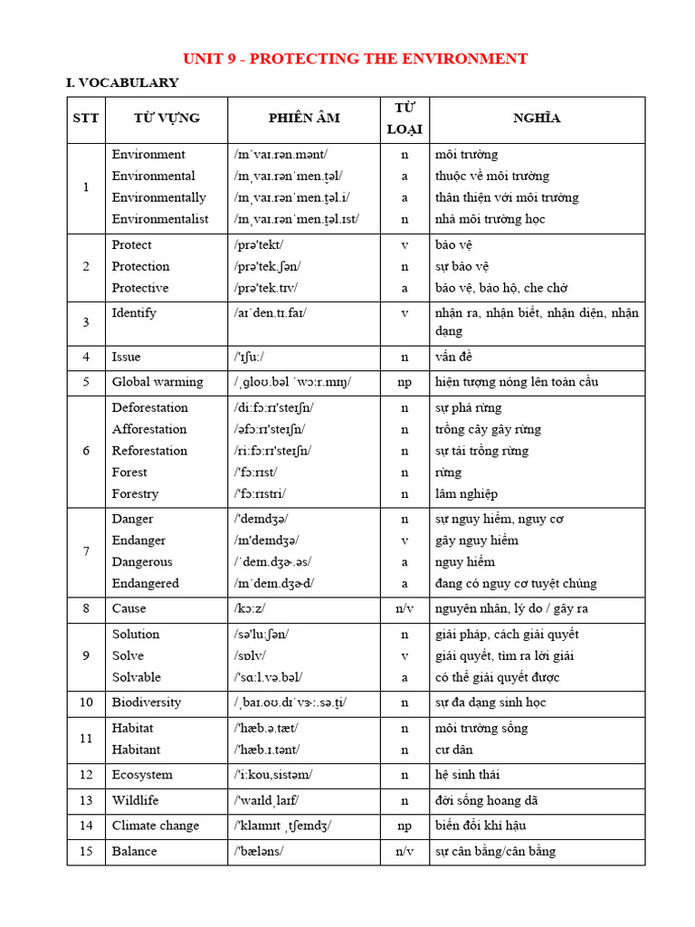 Unit 9 - Protecting The Environment | PDF