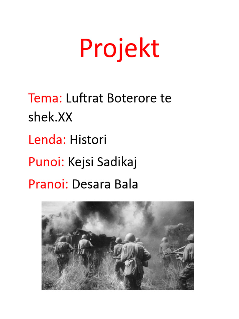 Projekt Ne Histori | PDF