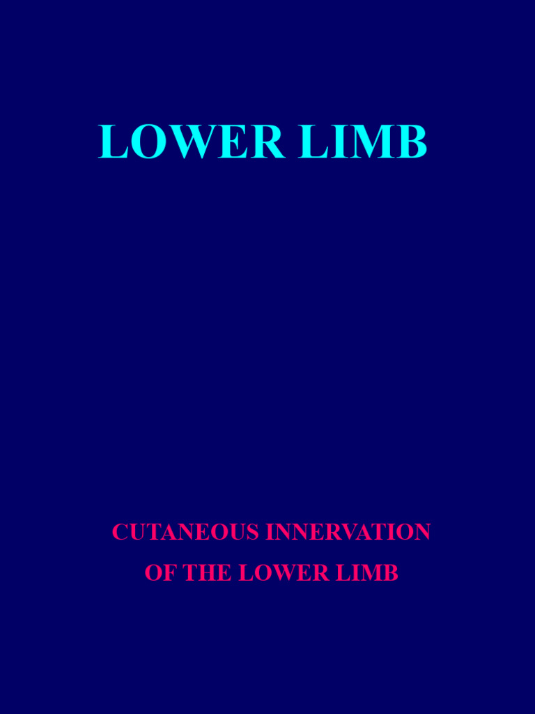 Lecture LL1 Anatomy | PDF | Human Leg | Pelvis