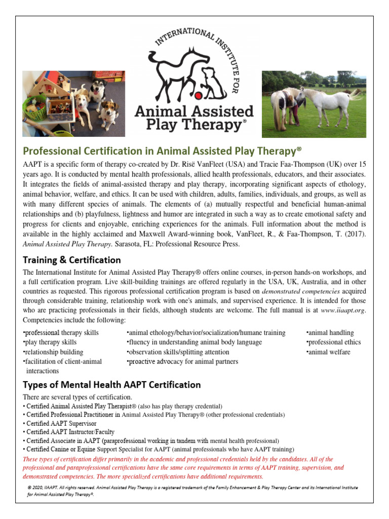 AAPT | PDF | Psychotherapy | Play Therapy