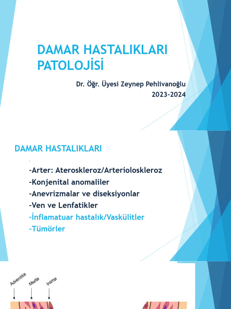 Damar Hastalıkları Patolojisi | PDF