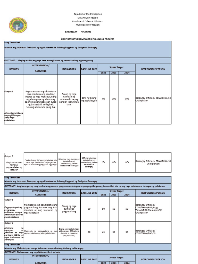Cjip Sample Plan | PDF