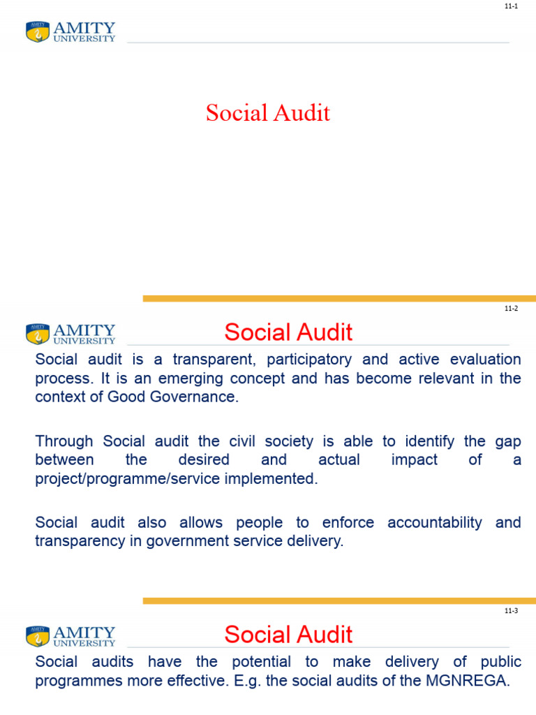 Module 4 - Social Audit | PDF | Audit | Economies