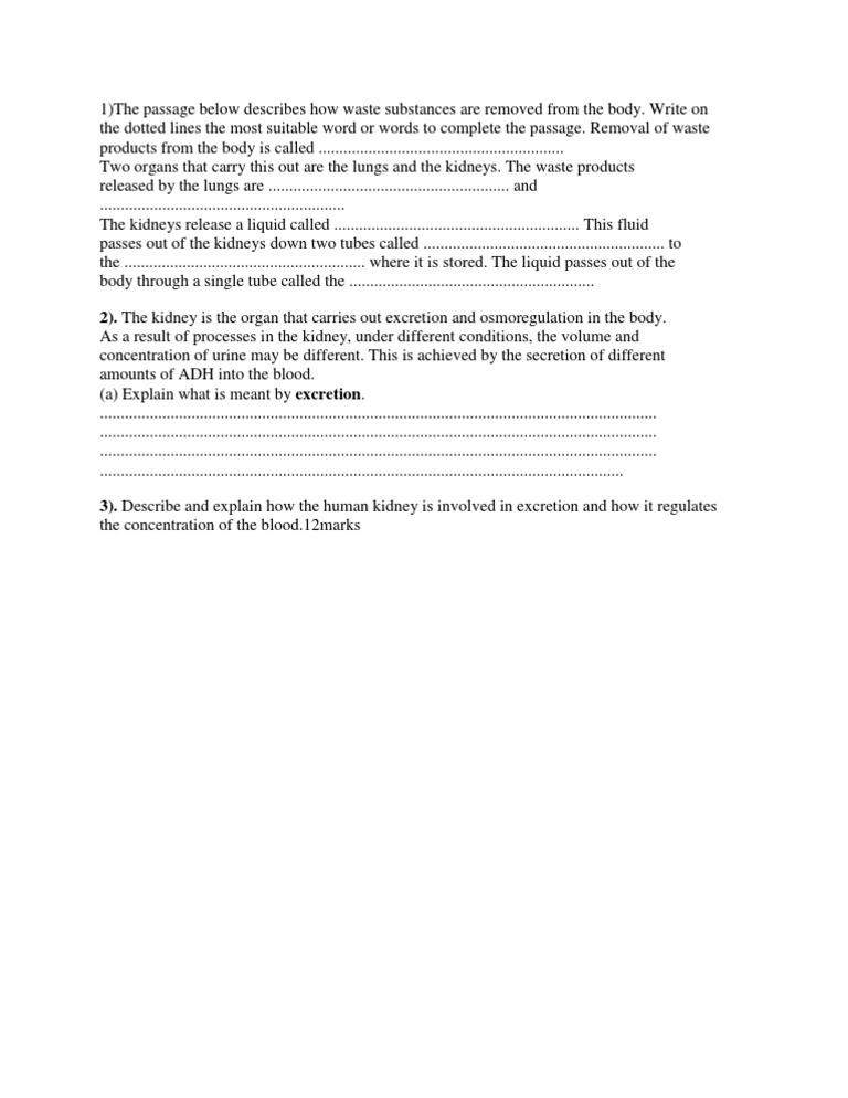 Kidney Work Sheet | PDF