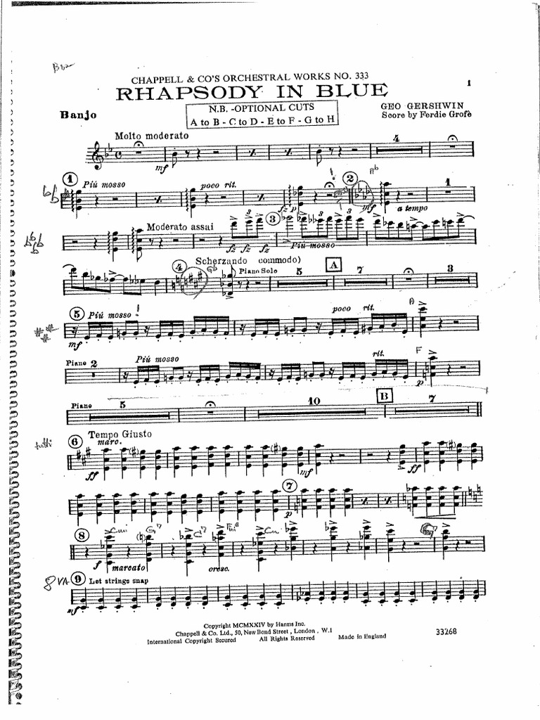 Rhapsody in Blue Banjo | PDF