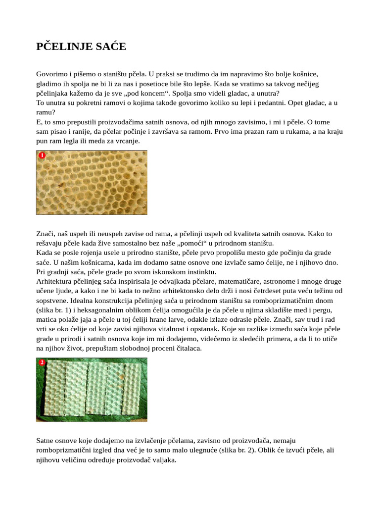 Pčelinje Saće | PDF