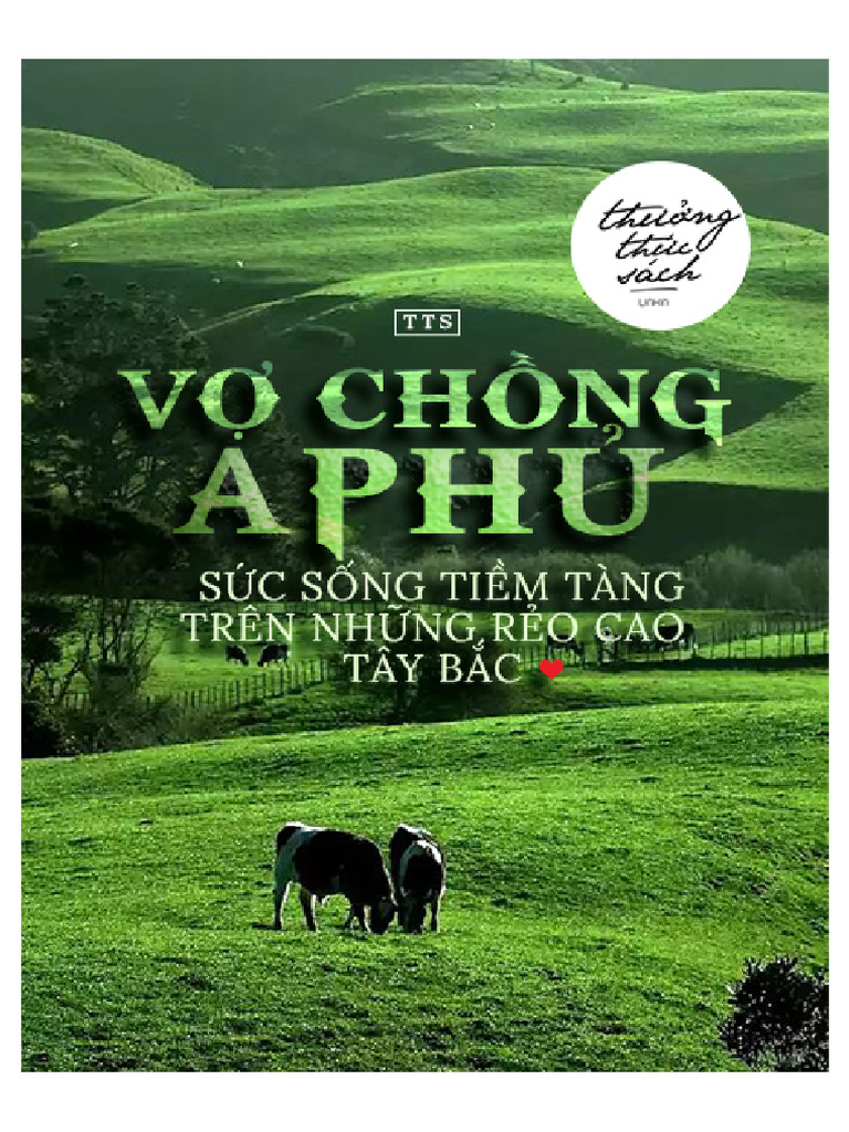 Tts Vo Chong A Phu Chuyen Sau 2k4 | PDF
