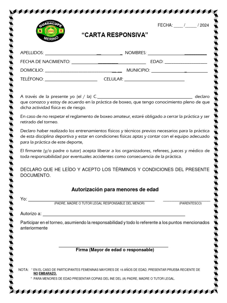 Carta Responsiva 1 | PDF