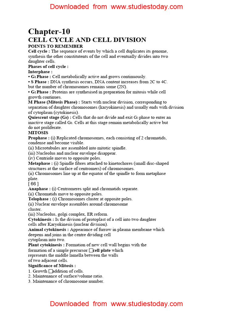 Cell Cycle, Mitosis, and Meiosis Explained | PDF | Meiosis | Mitosis