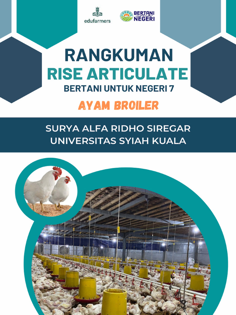 Cover Rise Articulate | PDF