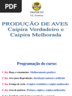 Uso e Bula da Vacina VAXXON IBR | PDF | Vacinas | Vírus