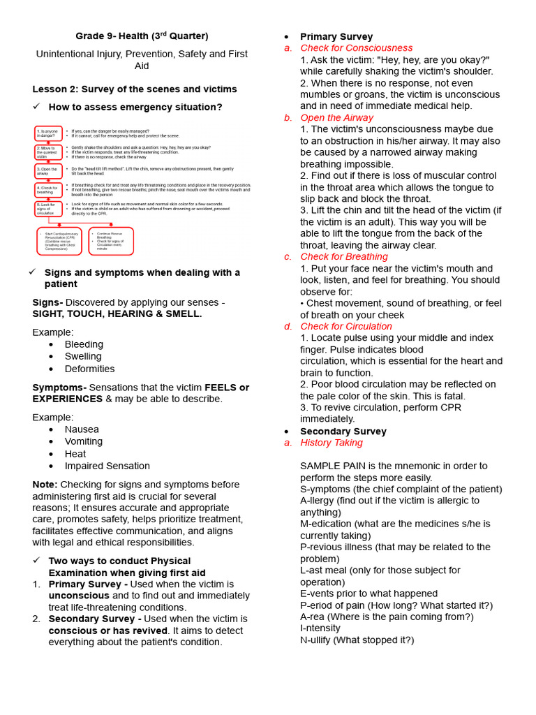 Lesson 2 | PDF | Pulse | First Aid