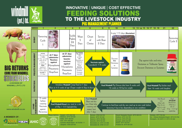 Pig Management Planner | Download Free PDF | Pig