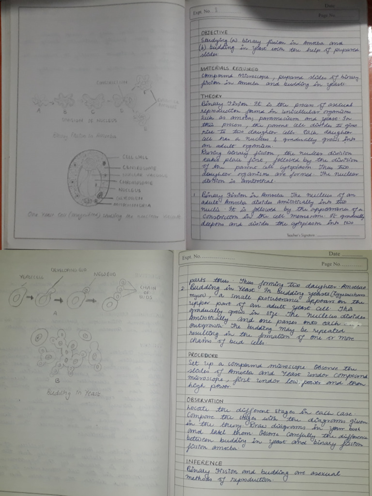 Record Science | PDF