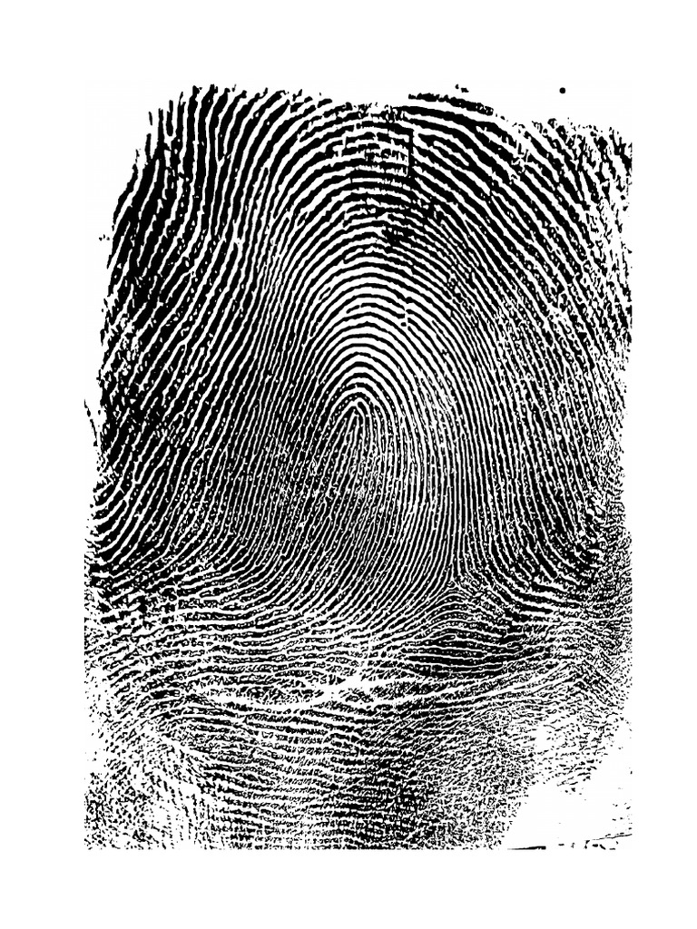 Finger Print | PDF