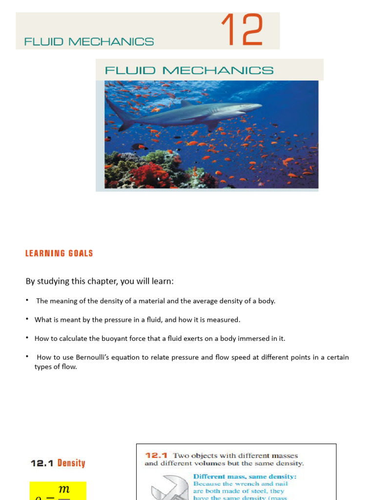 Fluid Dynamics | PDF | Buoyancy | Pressure