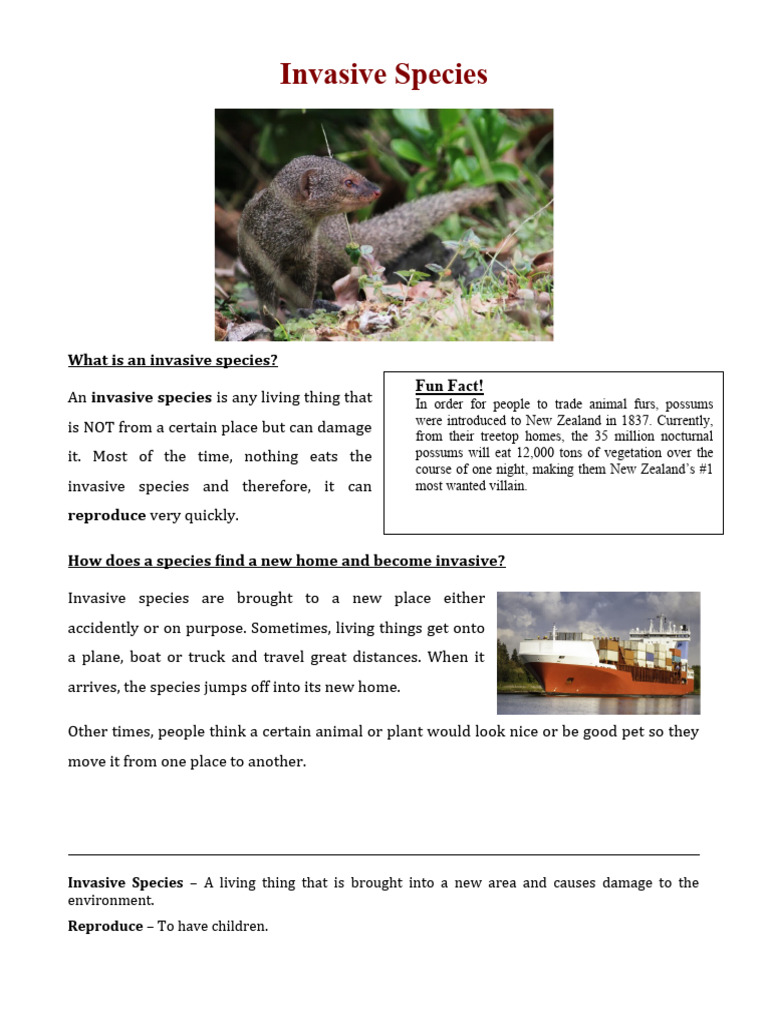 Invasive-Species | PDF | Invasive Species | Natural Environment