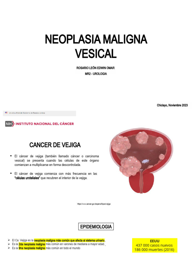 Epidemiología y Factores del Cáncer Vesical | PDF | Metástasis | Cáncer