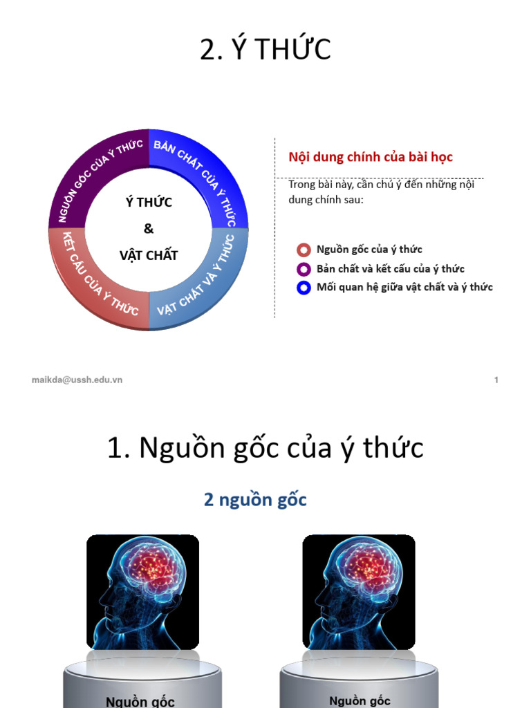 Slide Triethoc | PDF