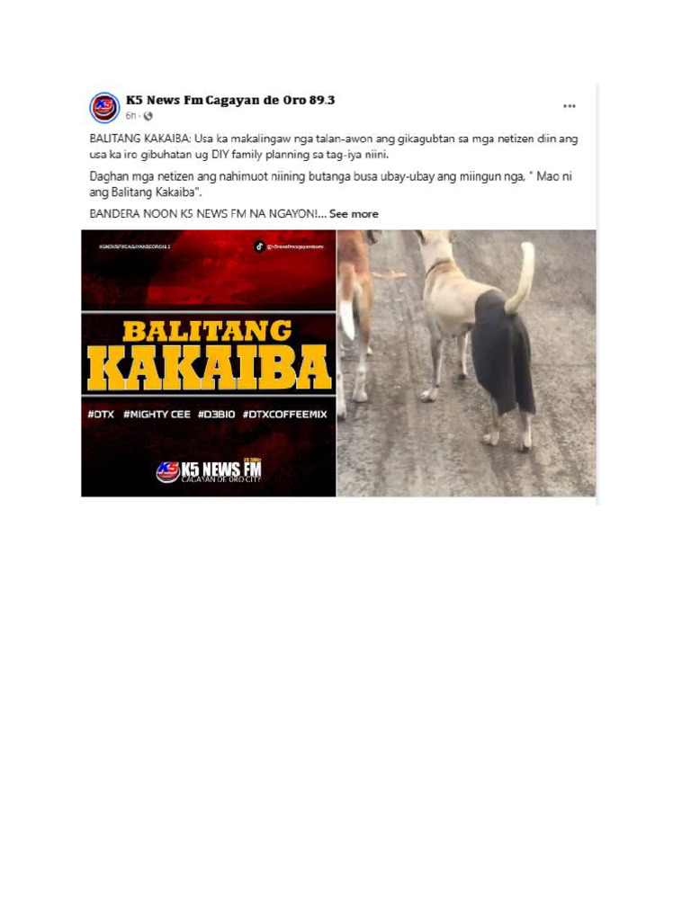 Balitang Kakaiba | PDF