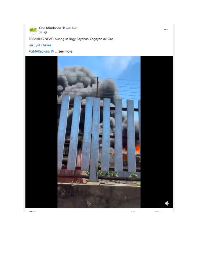 Sunog Brgy Bayabas | PDF