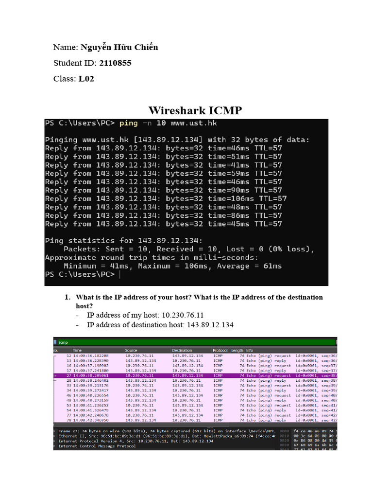 Lab 2 | PDF | Internet Protocols | Computing