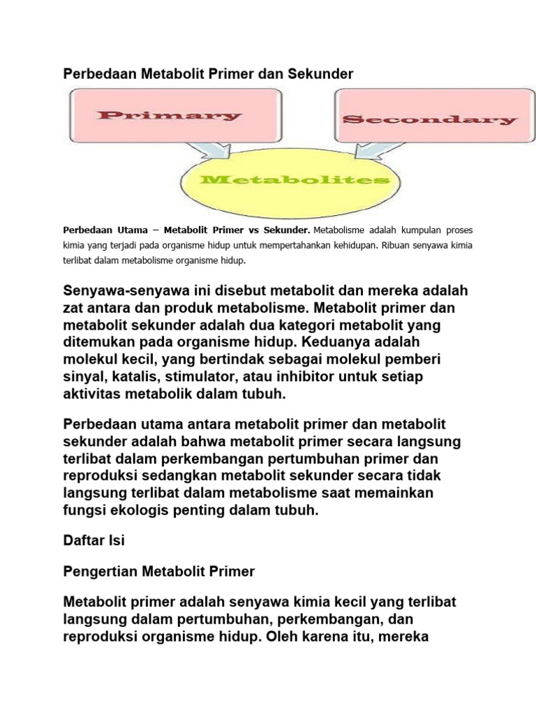 Metabolit Primer Dan Sekunder | PDF