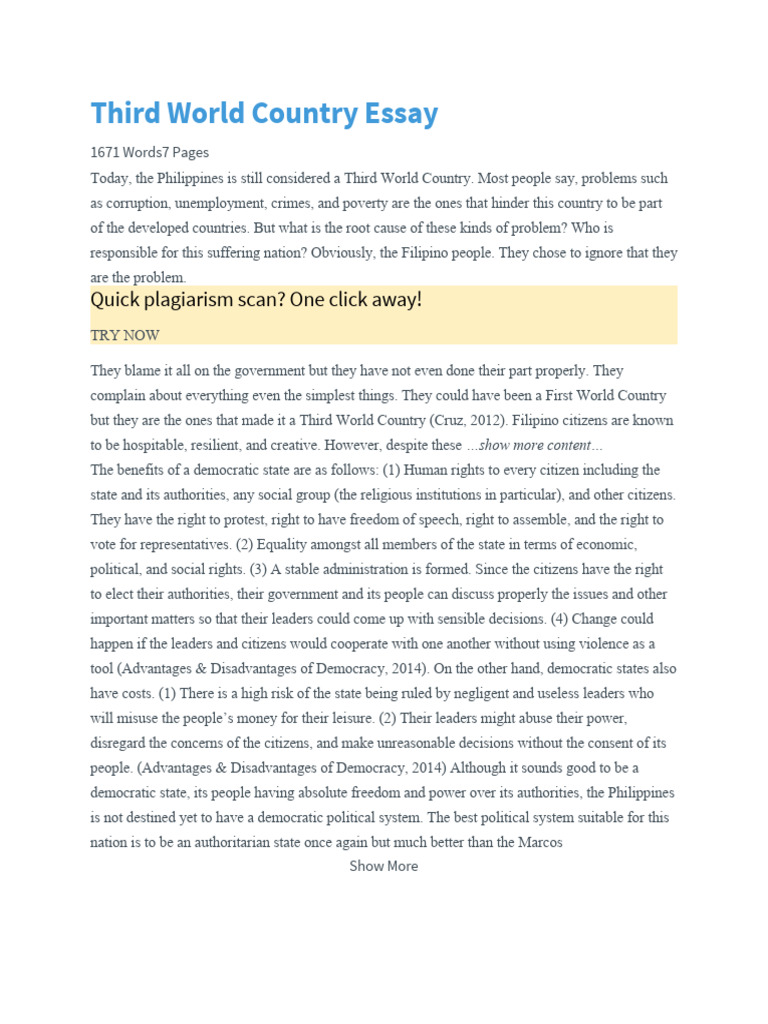 Third World Country Essay | PDF