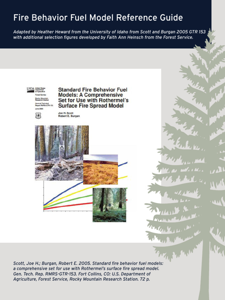 FBFM40 Reference Guide | PDF | Shrub | Fires