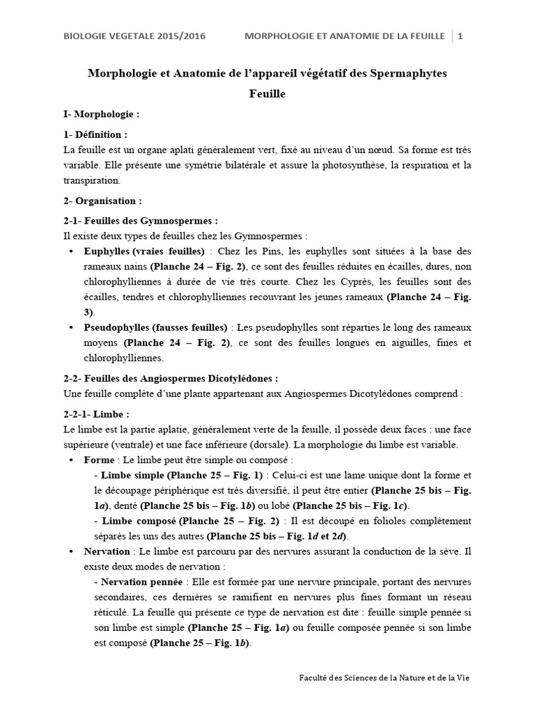 Morphologie et Anatomie de la Feuille | PDF | Feuille | Physiologie ...
