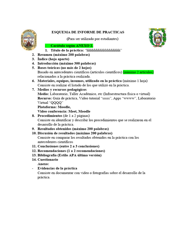 Esquema de Informe de Práctica de Laboratorio | PDF