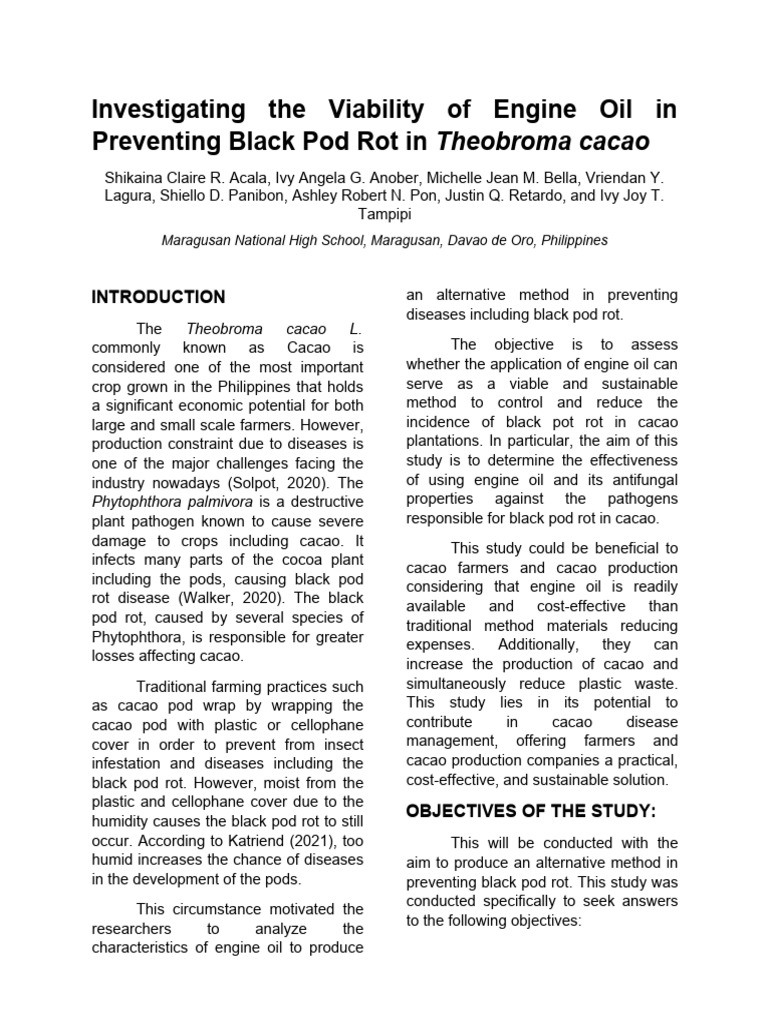 Sip Cacao | PDF | Cocoa Bean | Lubricant