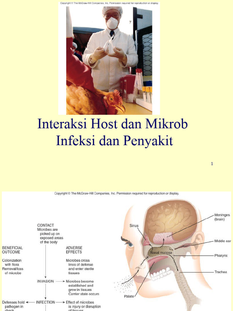 Interaksi Host Dan Mikrob | PDF
