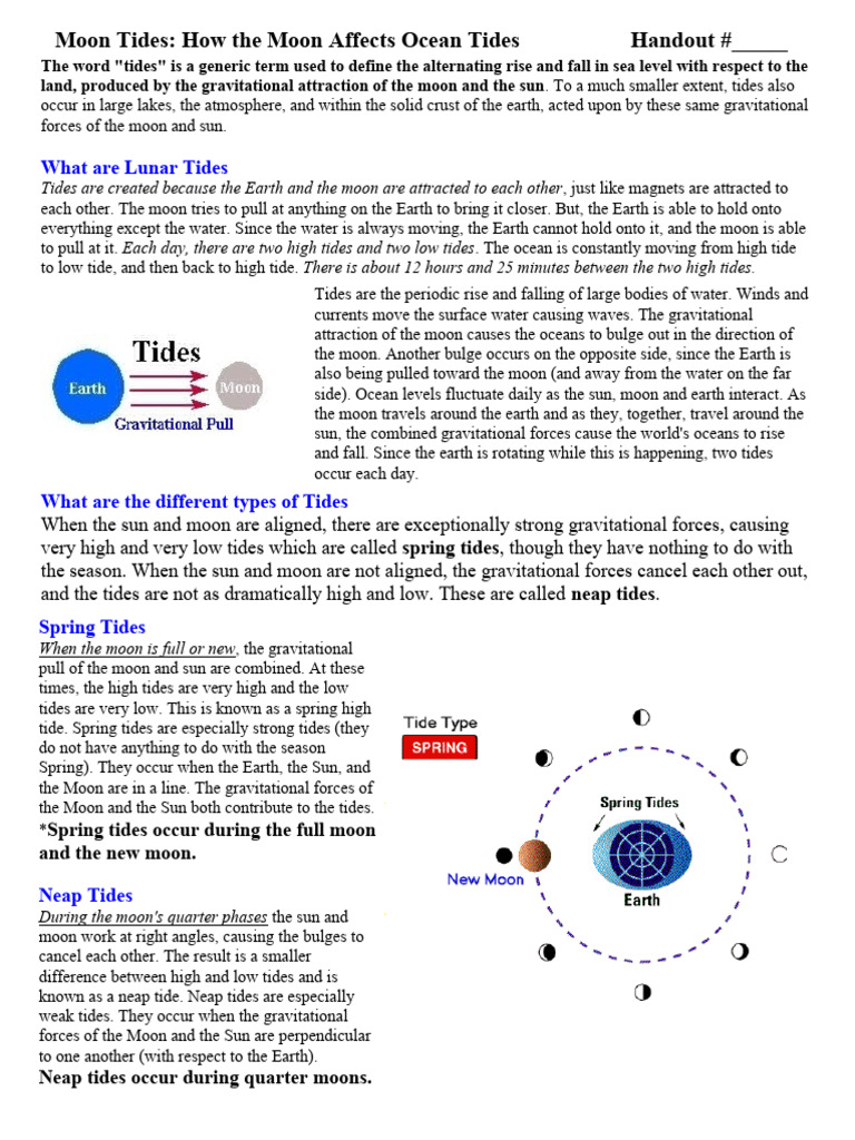 Moon and Tides Handout | Download Free PDF | Tide | Moon
